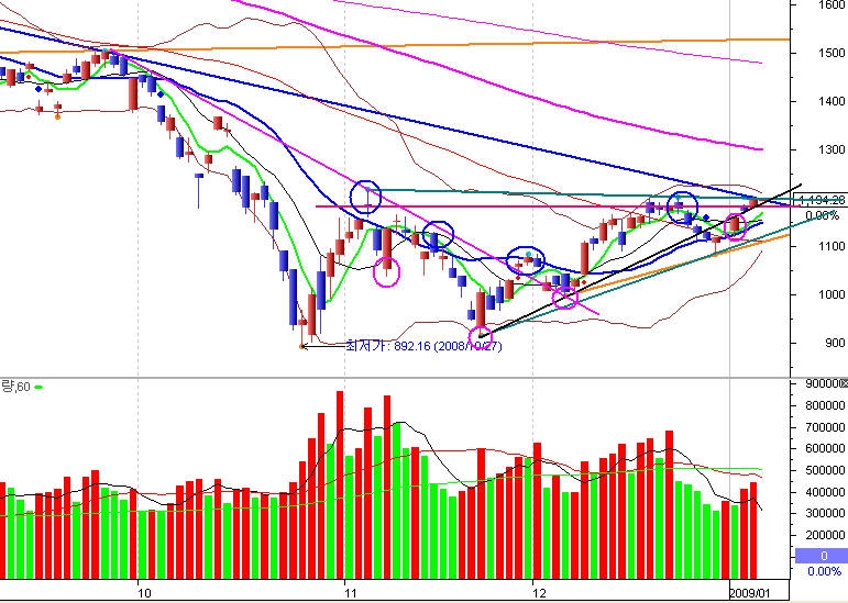기로에선 코스피 선옵전문가분석 선물옵션 팍스넷 증권포털